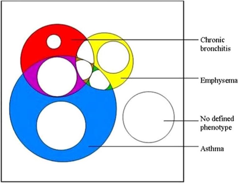 C: Case finding and confirm diagnosis | COPD-X
